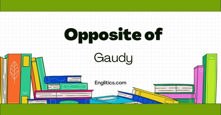 Opposite of Gaudy: 33 Antonyms with Clear Examples