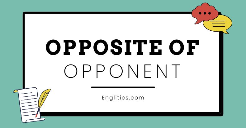 17 Opposite of Opponent – Antonyms That Show Support