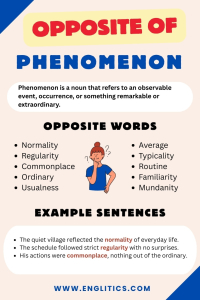 Opposite of Phenomenon: 35 Antonyms Like Ordinary Explained