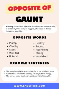 13 Opposite of Gaunt: Antonyms in Everyday English