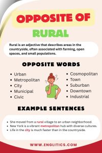 22 Opposite of Rural: Essential Antonyms to Learn