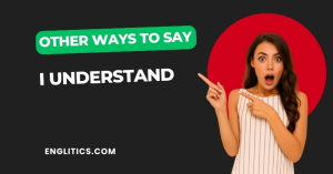 21 Other Ways to Say I Understand and Examples