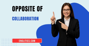 19 Opposite of Collaboration: Definition with Examples